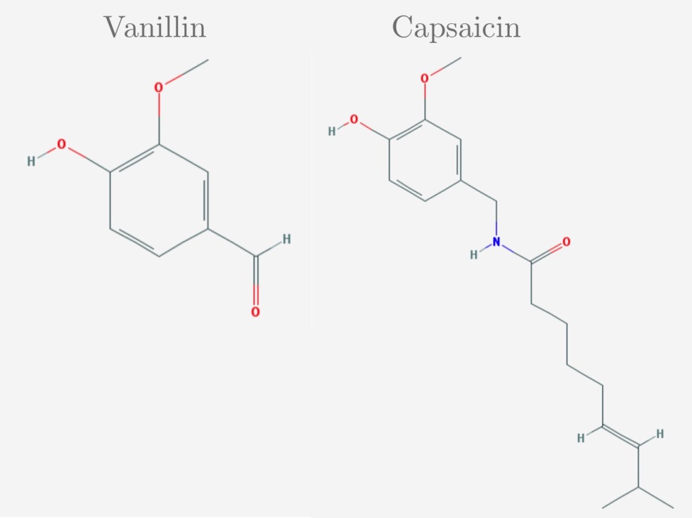Capsaicin, too hot to handle or hot on health? - Thought and Awe